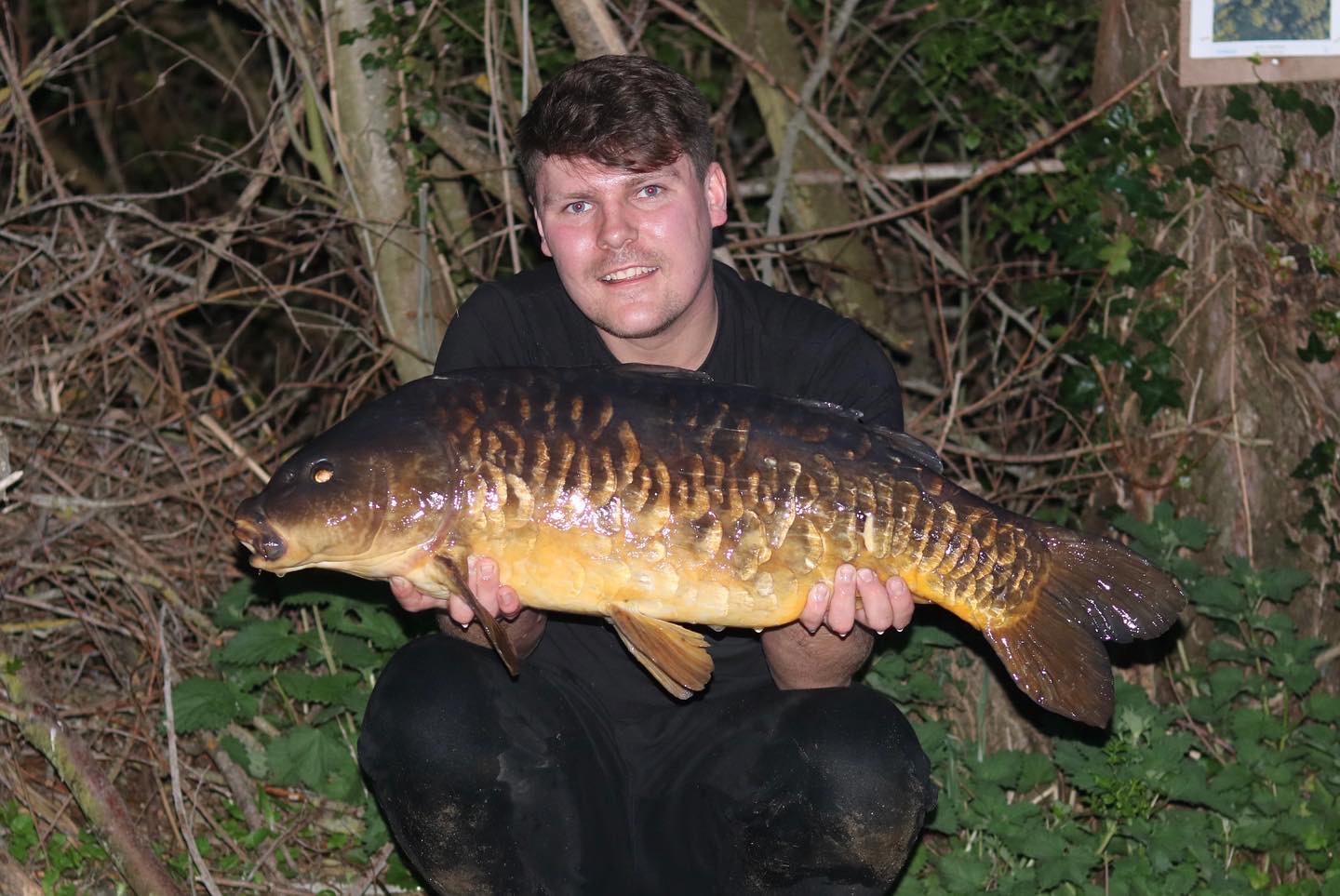 3 fish hit | Total Carp